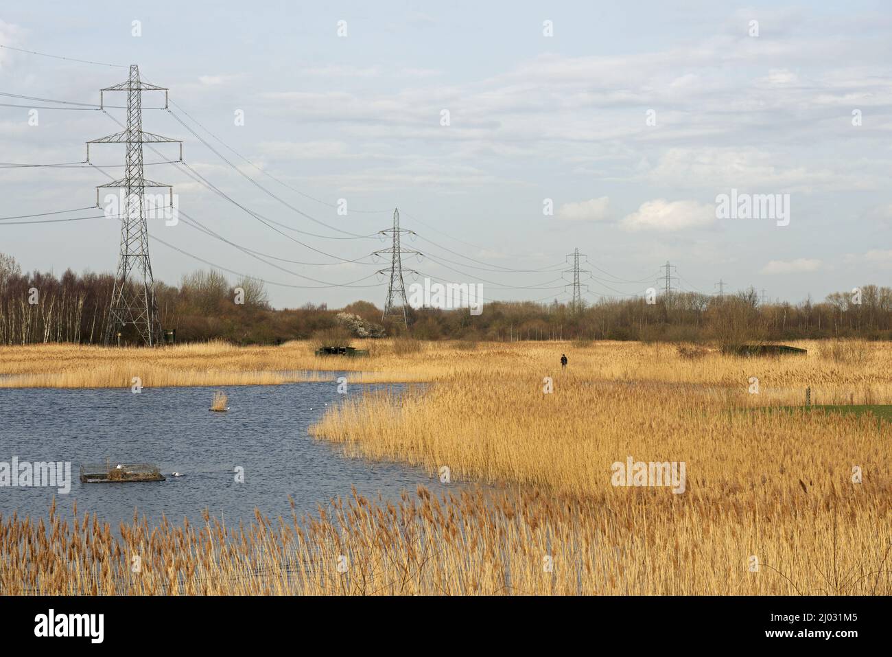 Dearne valley wetlands hi-res stock photography and images - Alamy