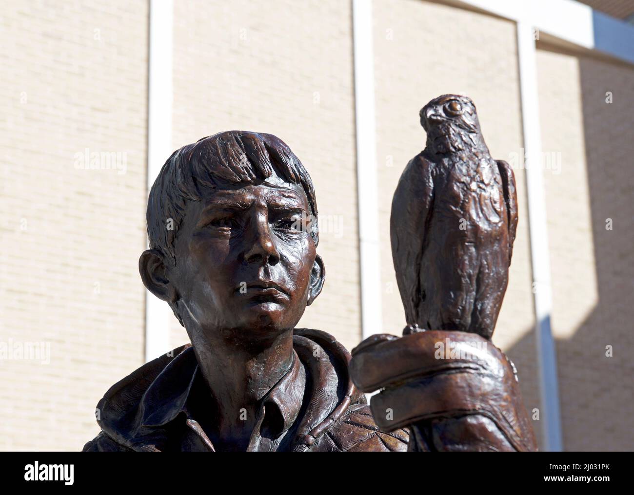 Billy with kes hi-res stock photography and images - Alamy