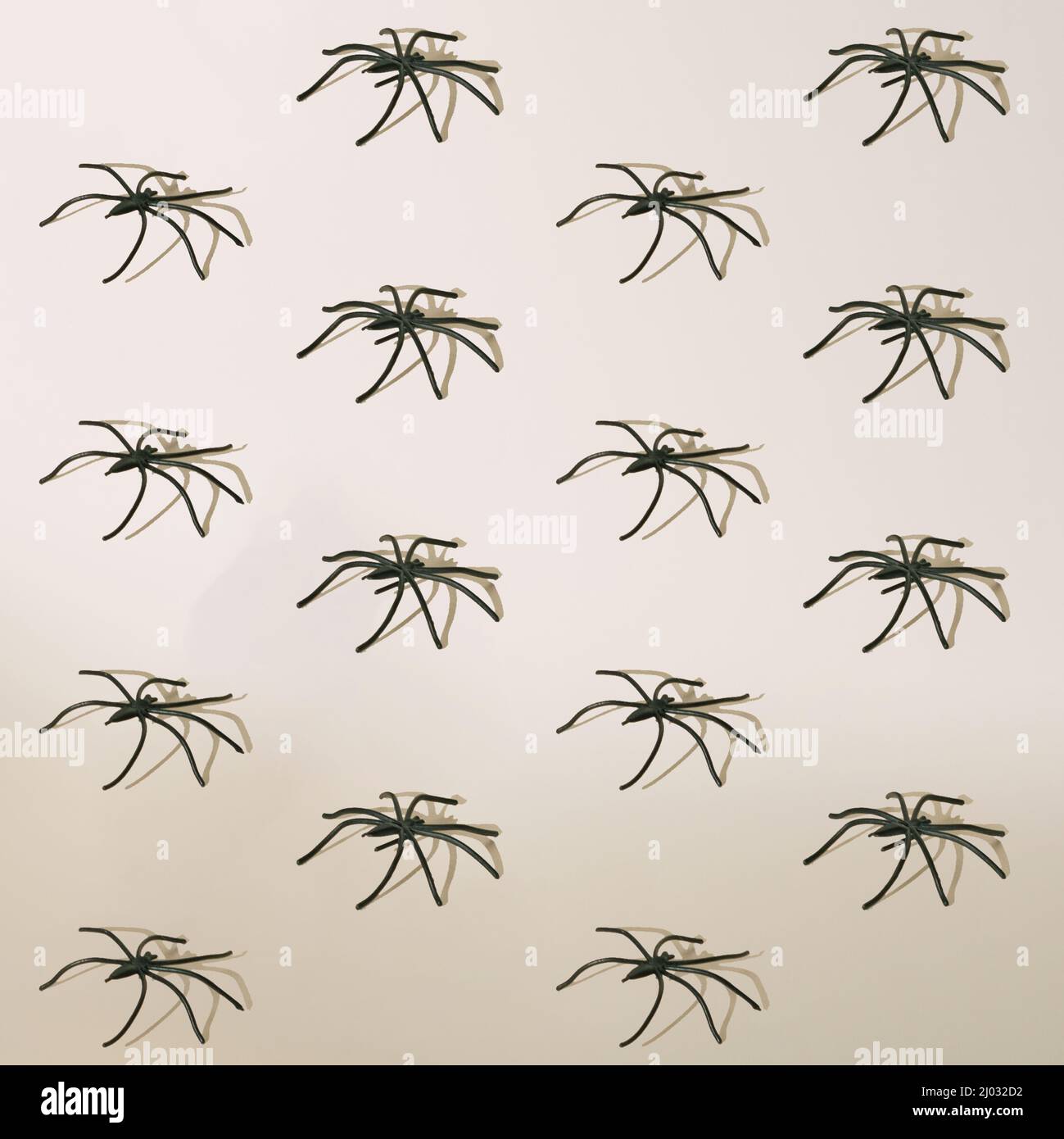 Black widow spiders hi-res stock photography and images - Alamy