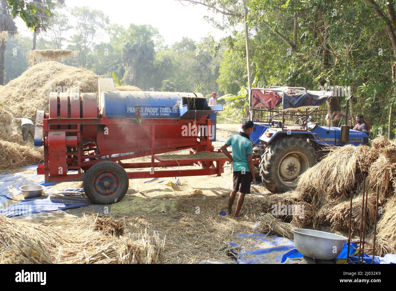 Bhadrak, Odisha, India, 07 January 2020 :Labourers feed manually ...