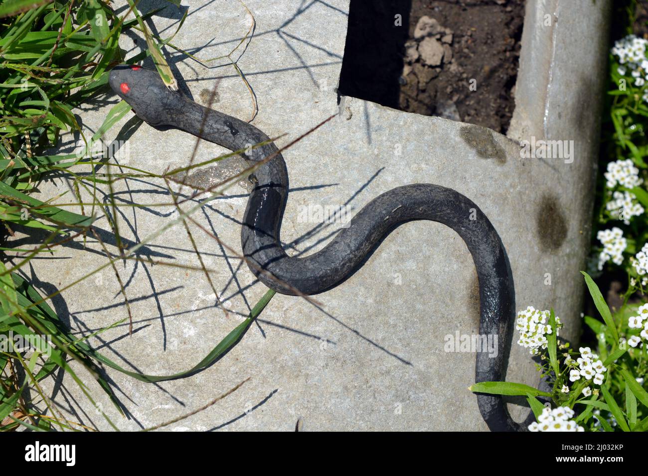 Landscaping, greenery, beautiful trees and bushes with an object ...