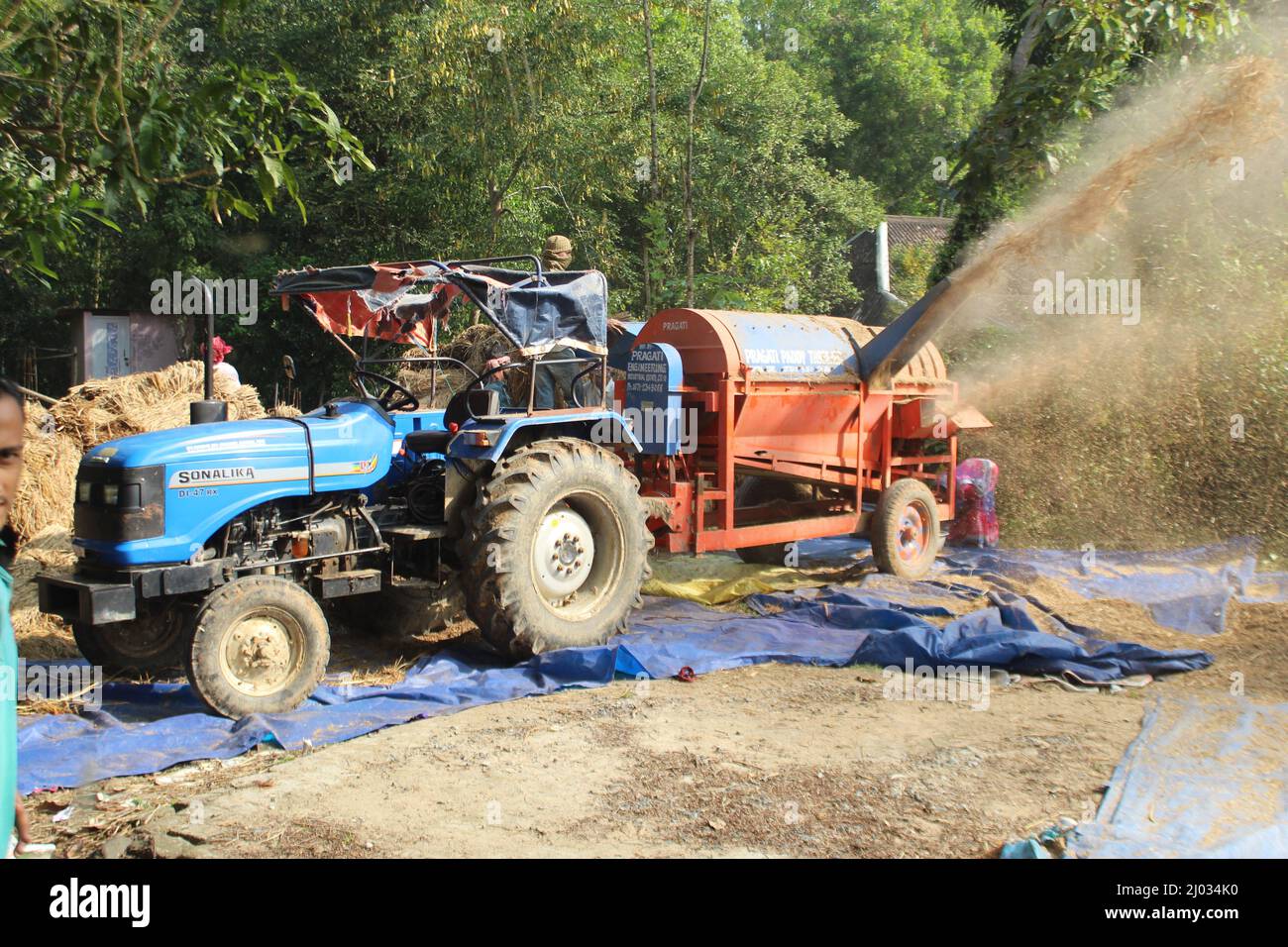 Bhadrak, Odisha, India, 07 January 2020 :Labourers feed manually ...