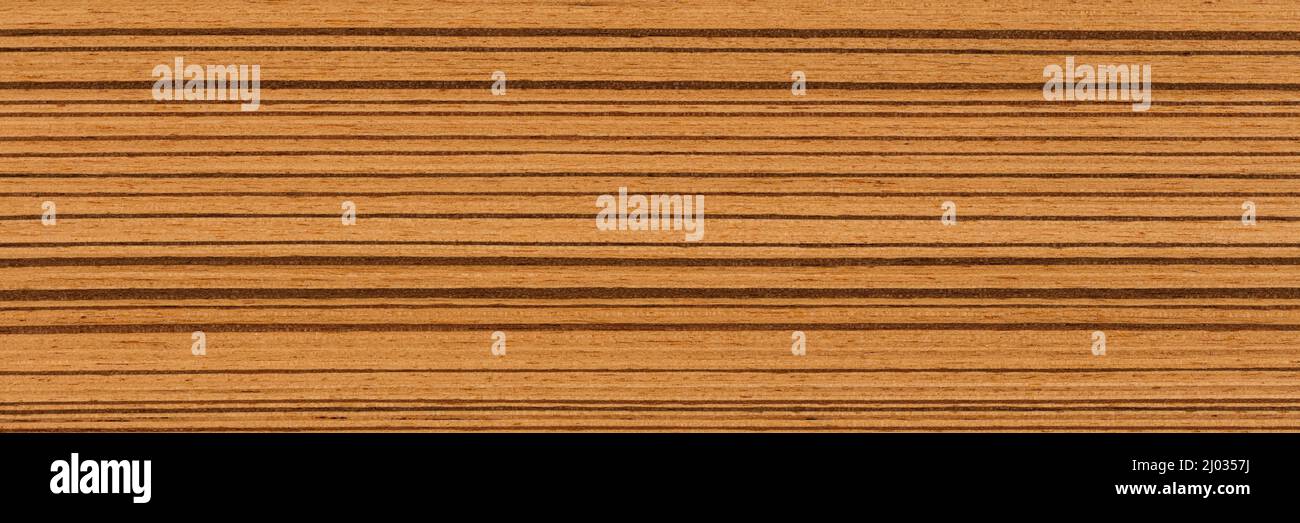 Exquisite veneer background for stylish interior view. Natural wood ...