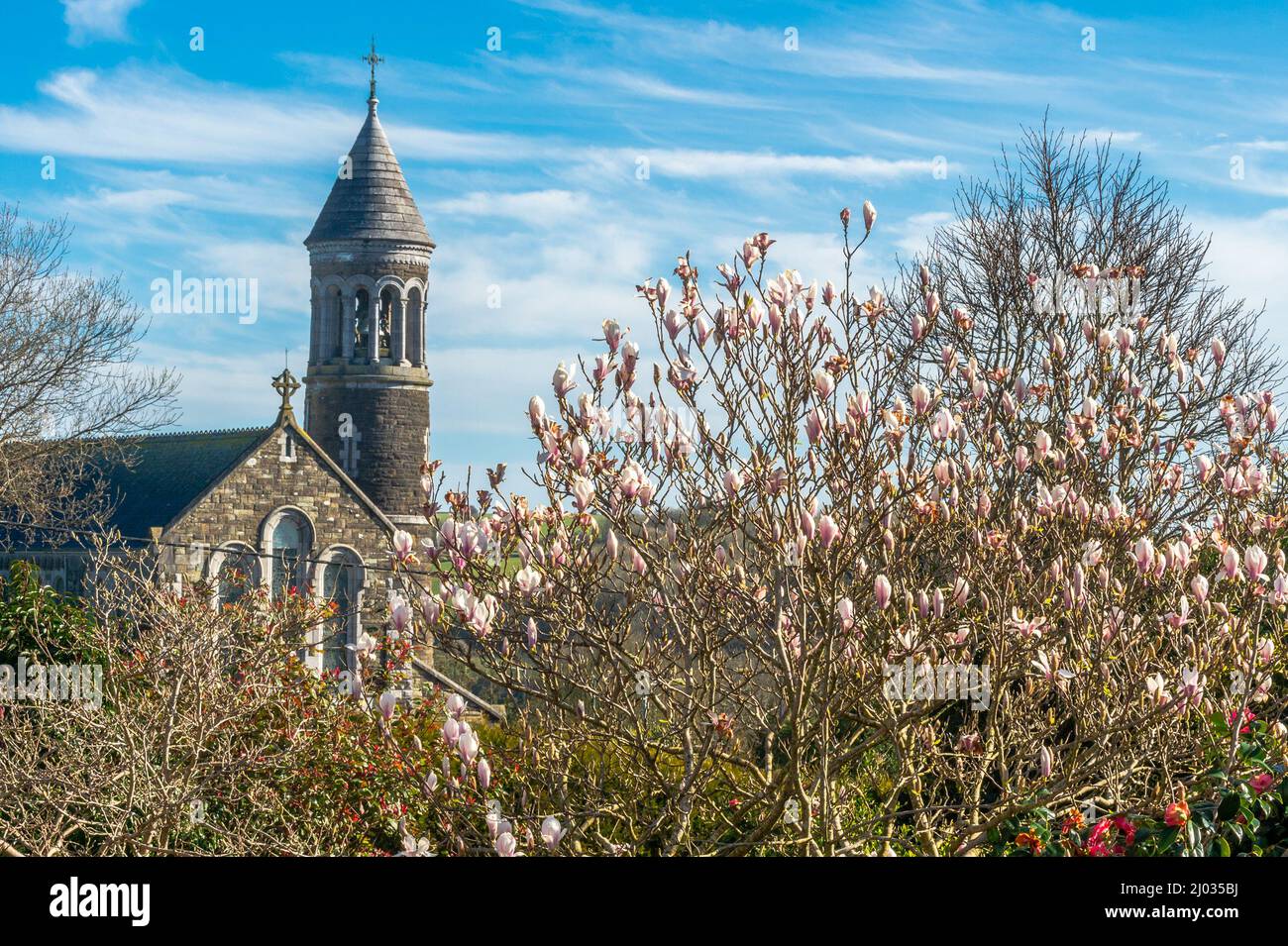 Timoleague, West Cork, Ireland. 16th Mar, 2022. The Church of the ...