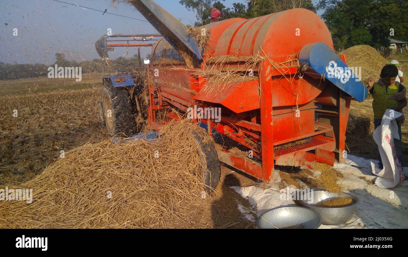 Rice Thresher Design