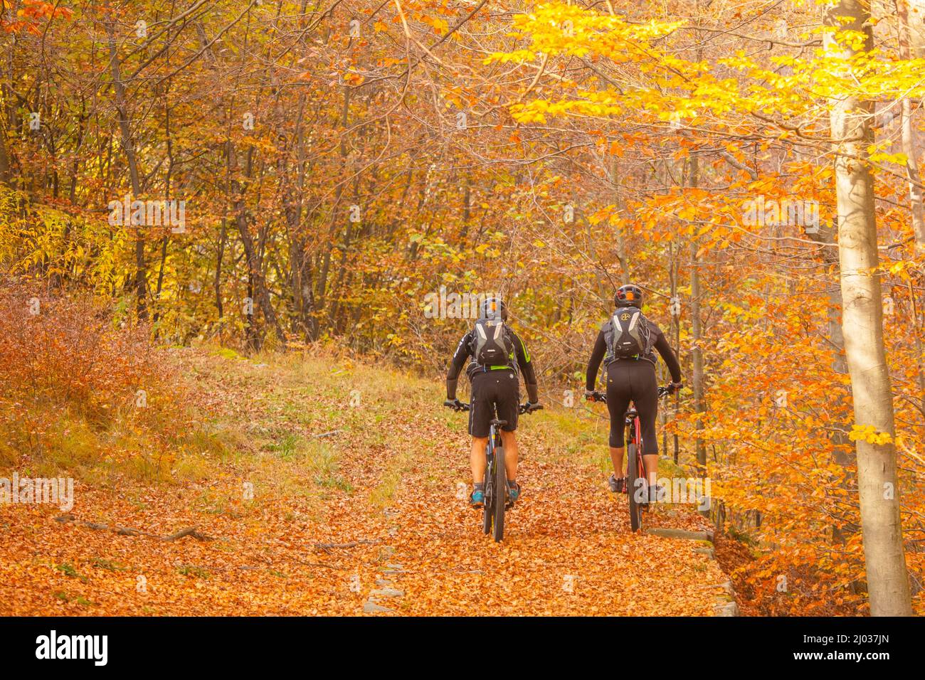 Val di cervo hi-res stock photography and images - Alamy