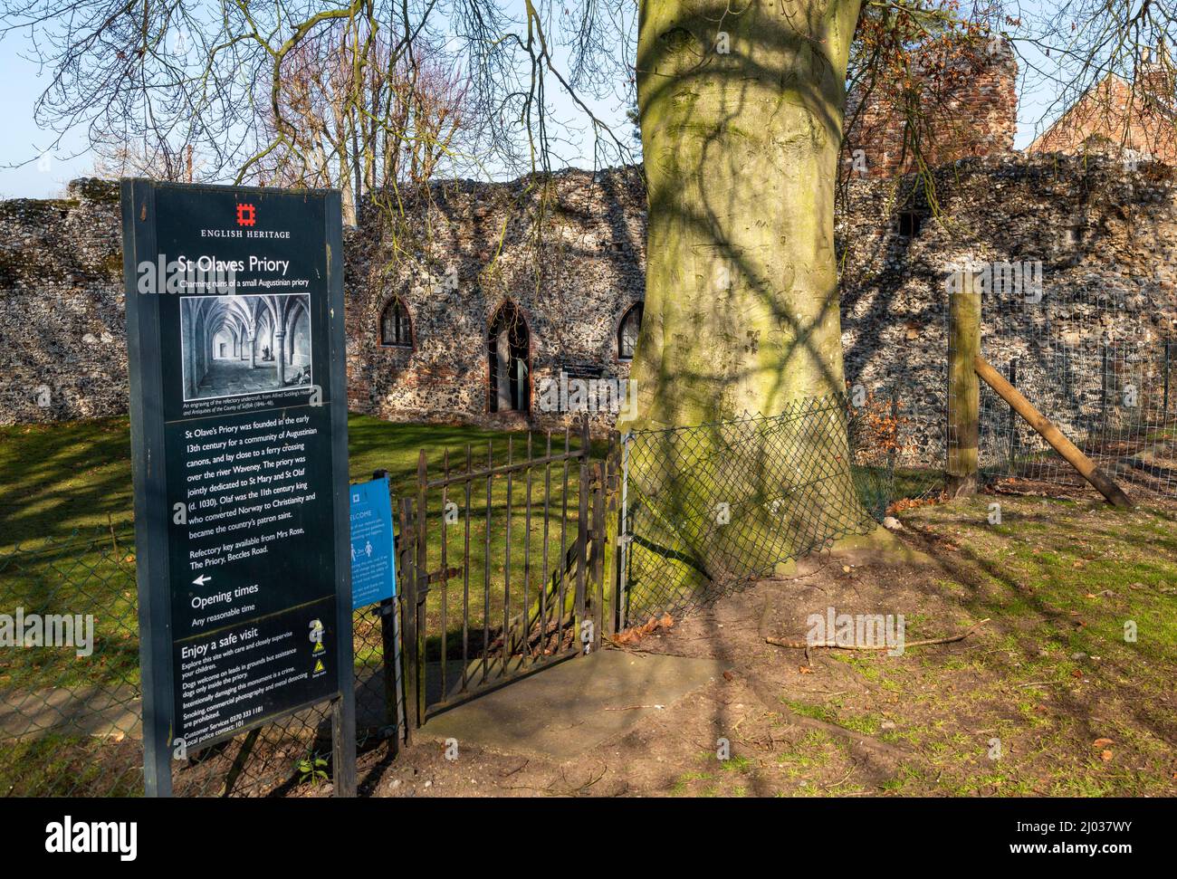 Ruins of a small Augustinian priory founded c 1216, St Olaves Priory ...
