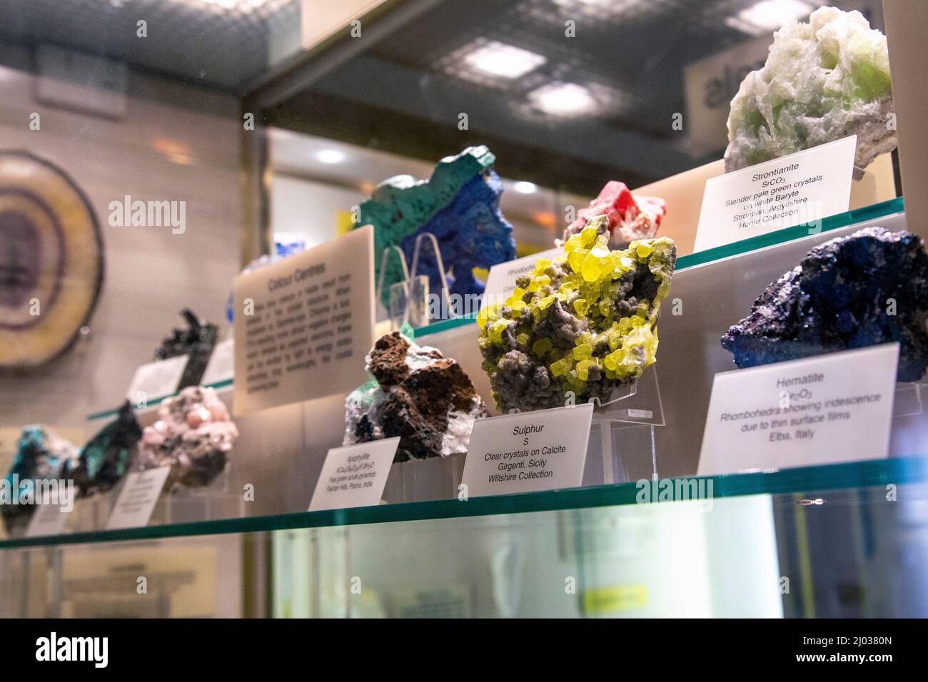 Mineral specimens on display at the Sedgwick Museum of Earth Sciences ...