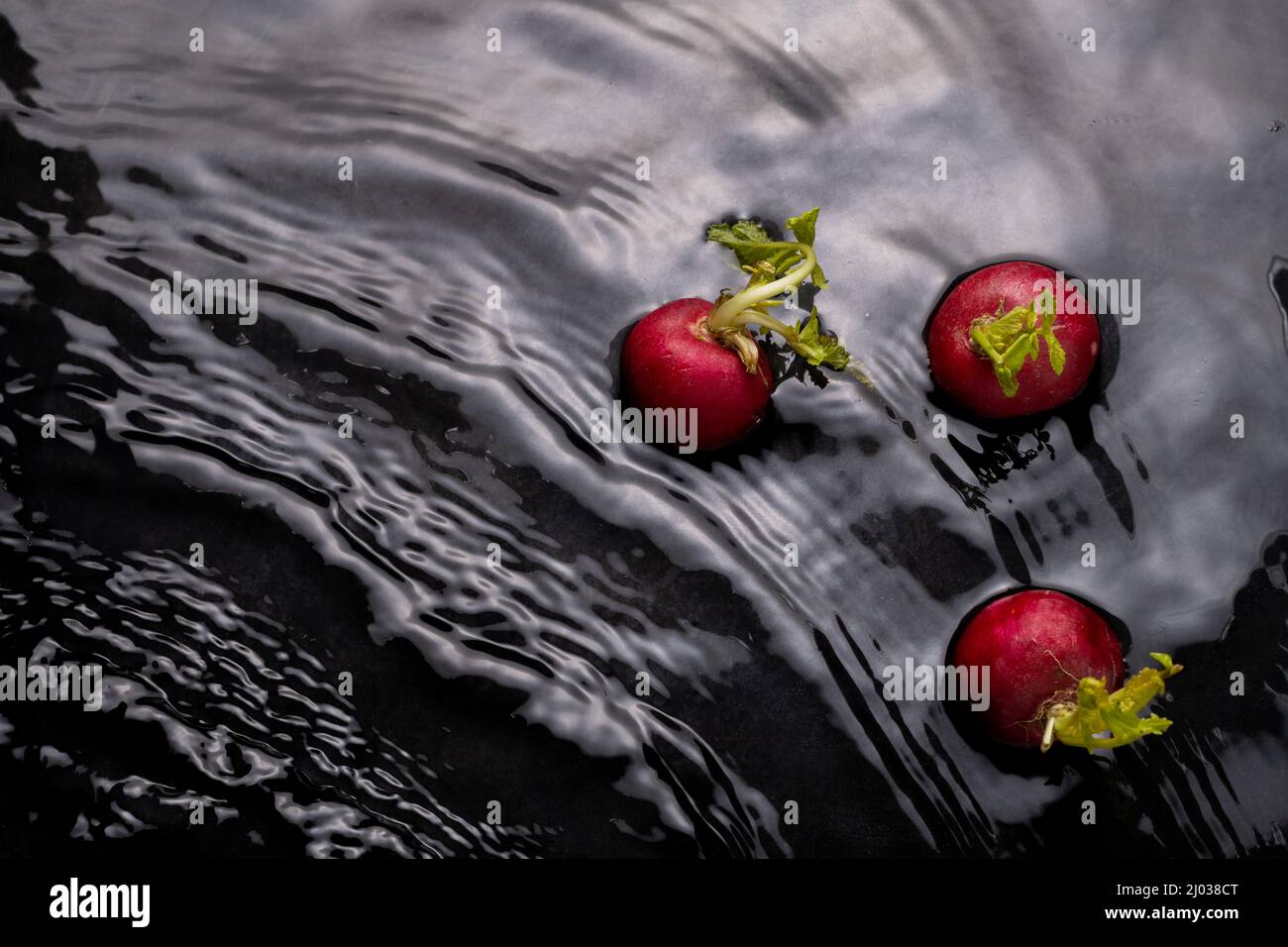 Radishes splashing in water hi-res stock photography and images - Alamy