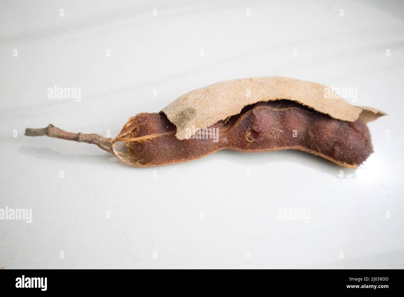 One peeled tamarind with the shell in a white background Stock Photo ...