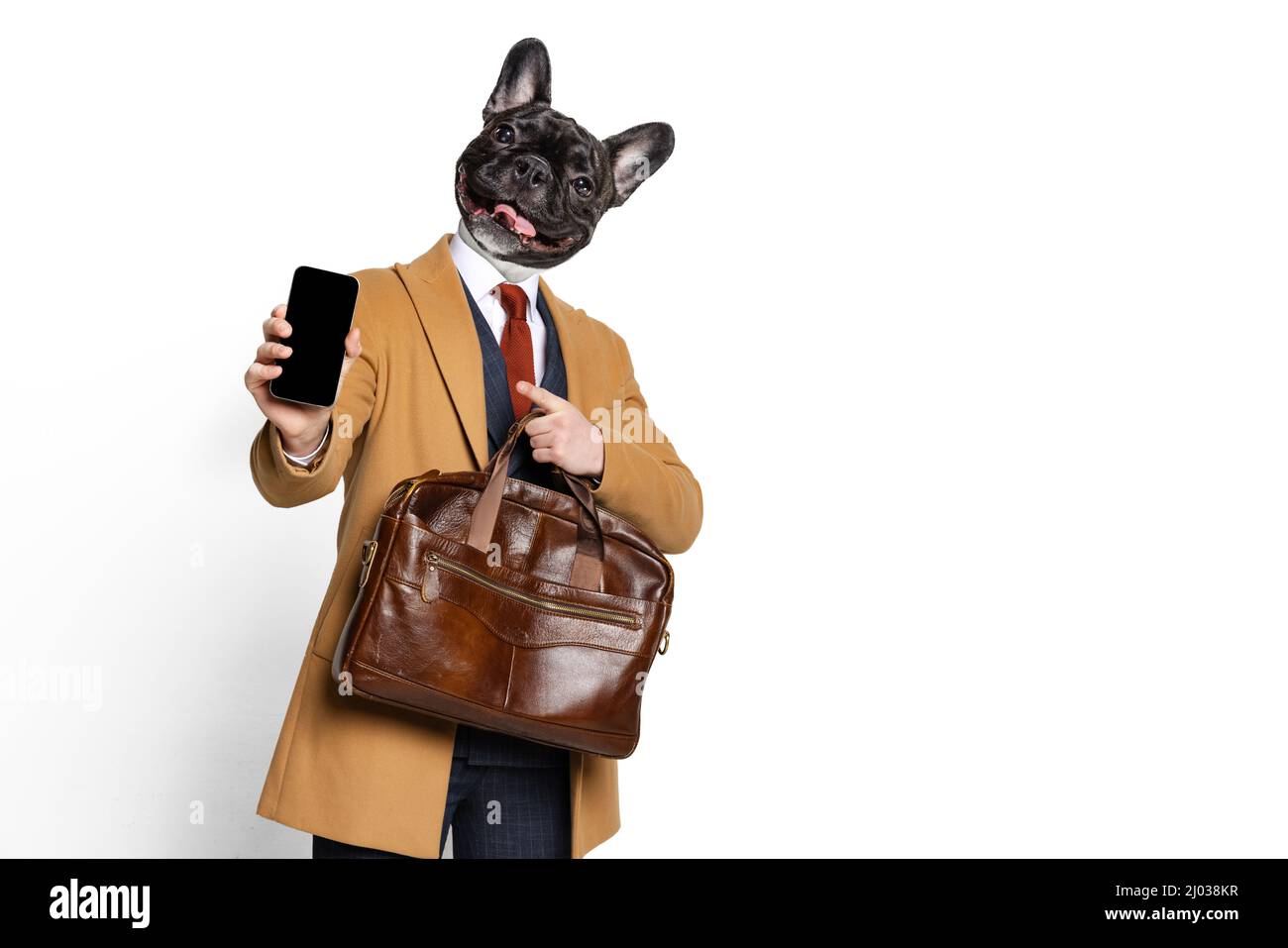 Contemporary creative art collage with young business man headed of dog ...