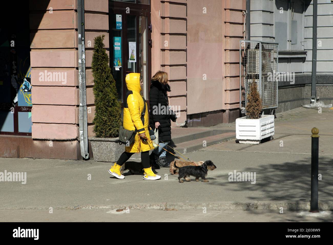 Non Exclusive: KYIV, UKRAINE - MARCH 15, 2022 - Women walk a dog in the ...