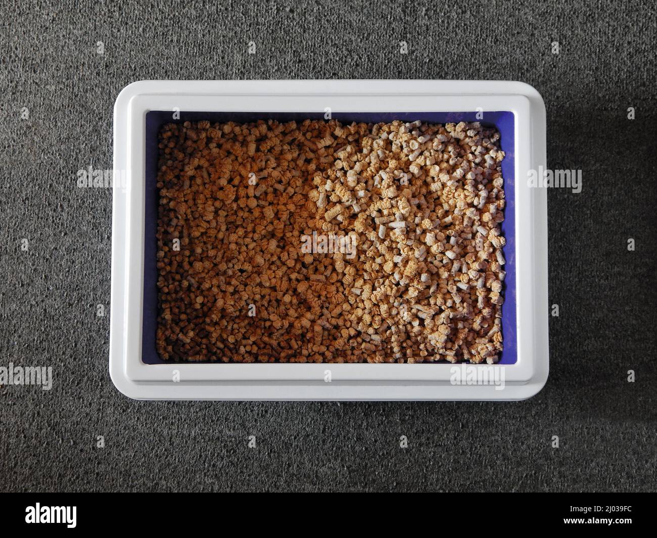 Grey cat litterbox hi-res stock photography and images - Alamy