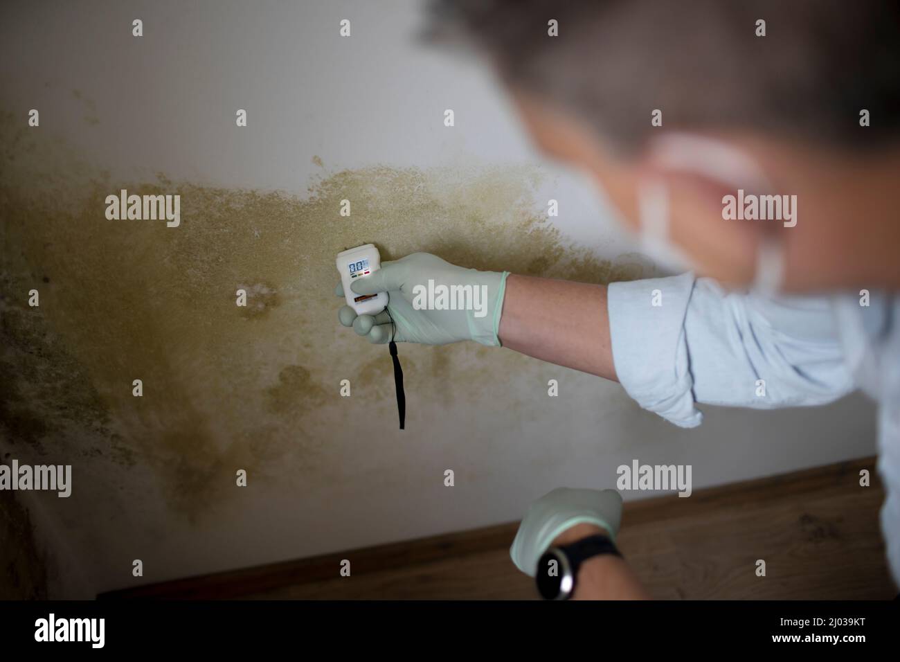 Man with nose mouth protection measures the moisture level on a wall ...