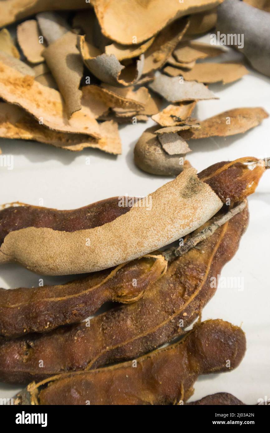 Some peeled tamarind with the shell in a white background Stock Photo ...