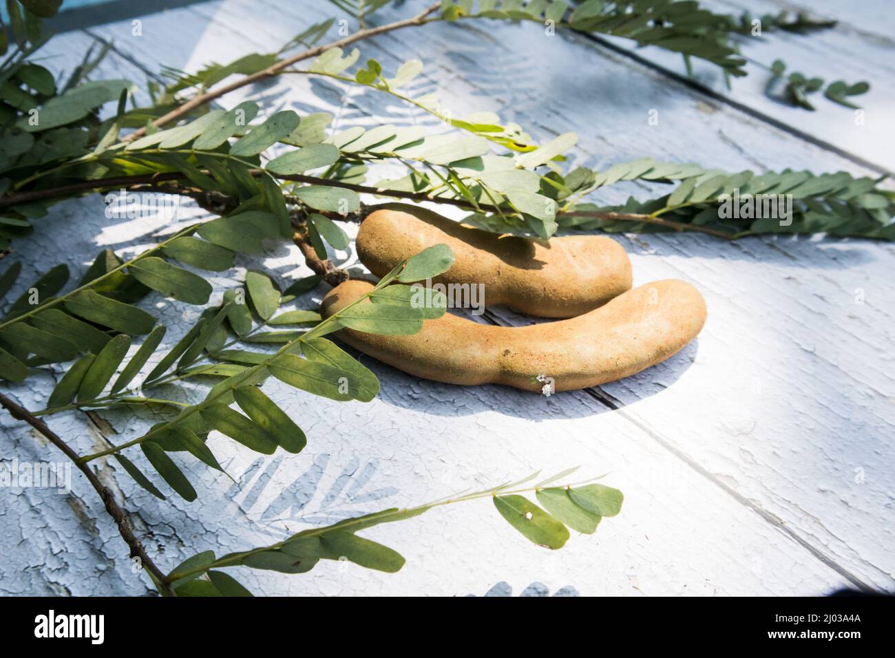 Some raw tamarind with tamarind leaf Stock Photo - Alamy