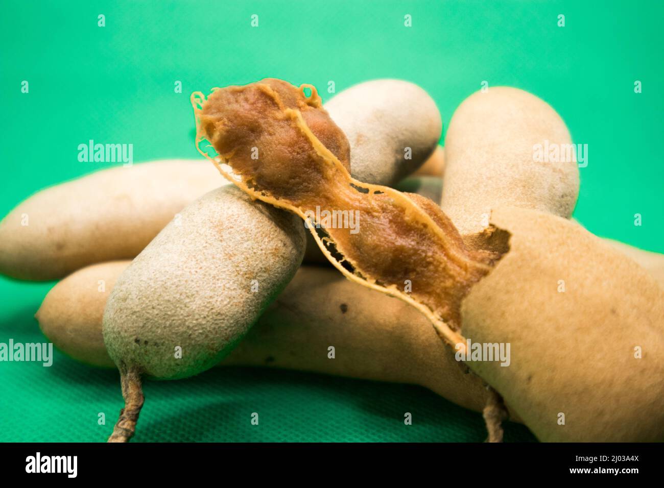 Tamarind in a green background. Some dry tamarind, one of which a taken ...