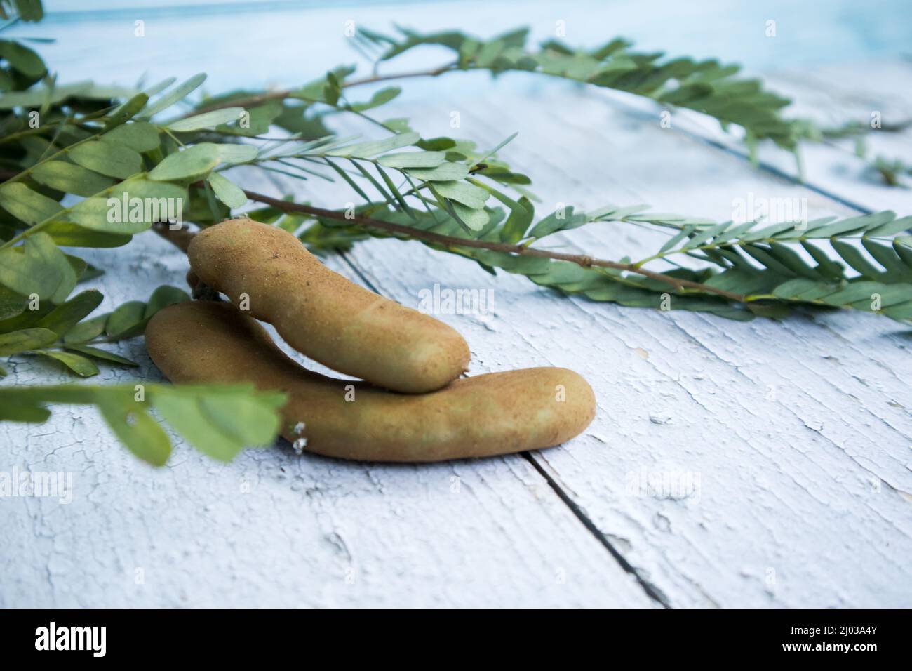 Some raw tamarind with tamarind leaf Stock Photo - Alamy