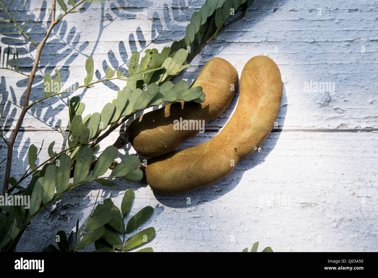 Some raw tamarind with tamarind leaf Stock Photo - Alamy