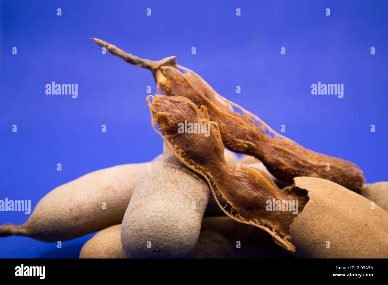 Tamarind in a blue background Stock Photo - Alamy
