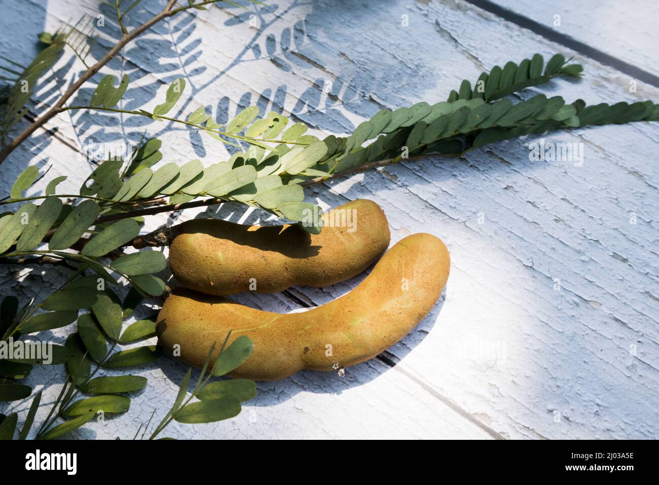 Some raw tamarind with tamarind leaf Stock Photo - Alamy