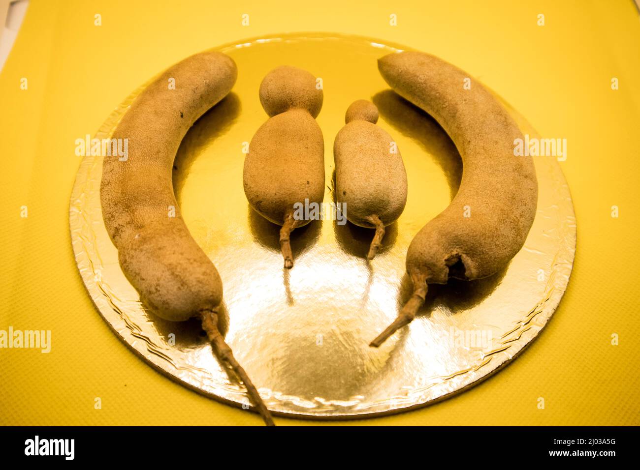 Four tamarind placed beautifully on golden background Stock Photo - Alamy