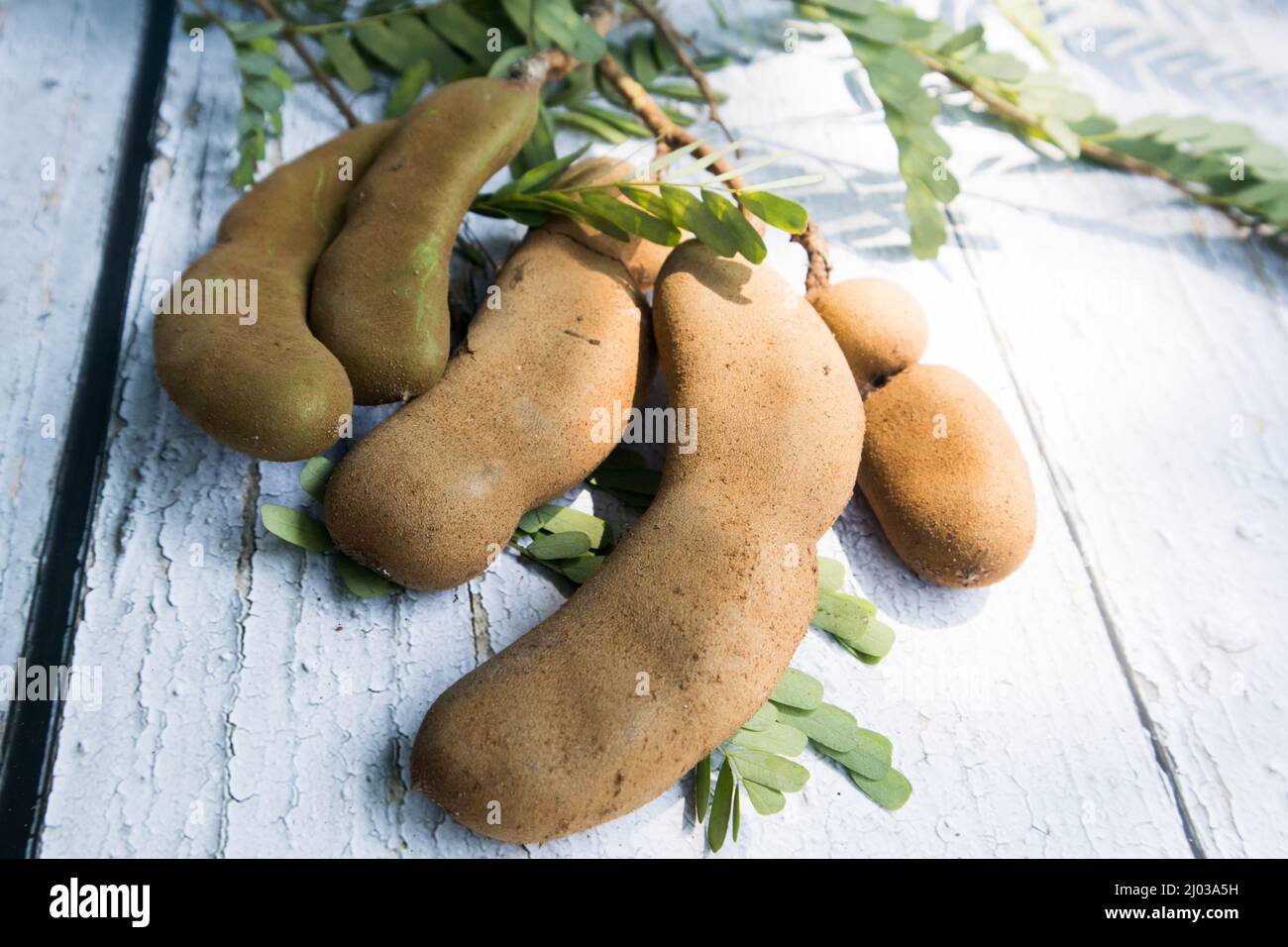 Some raw tamarind with tamarind leaf Stock Photo - Alamy