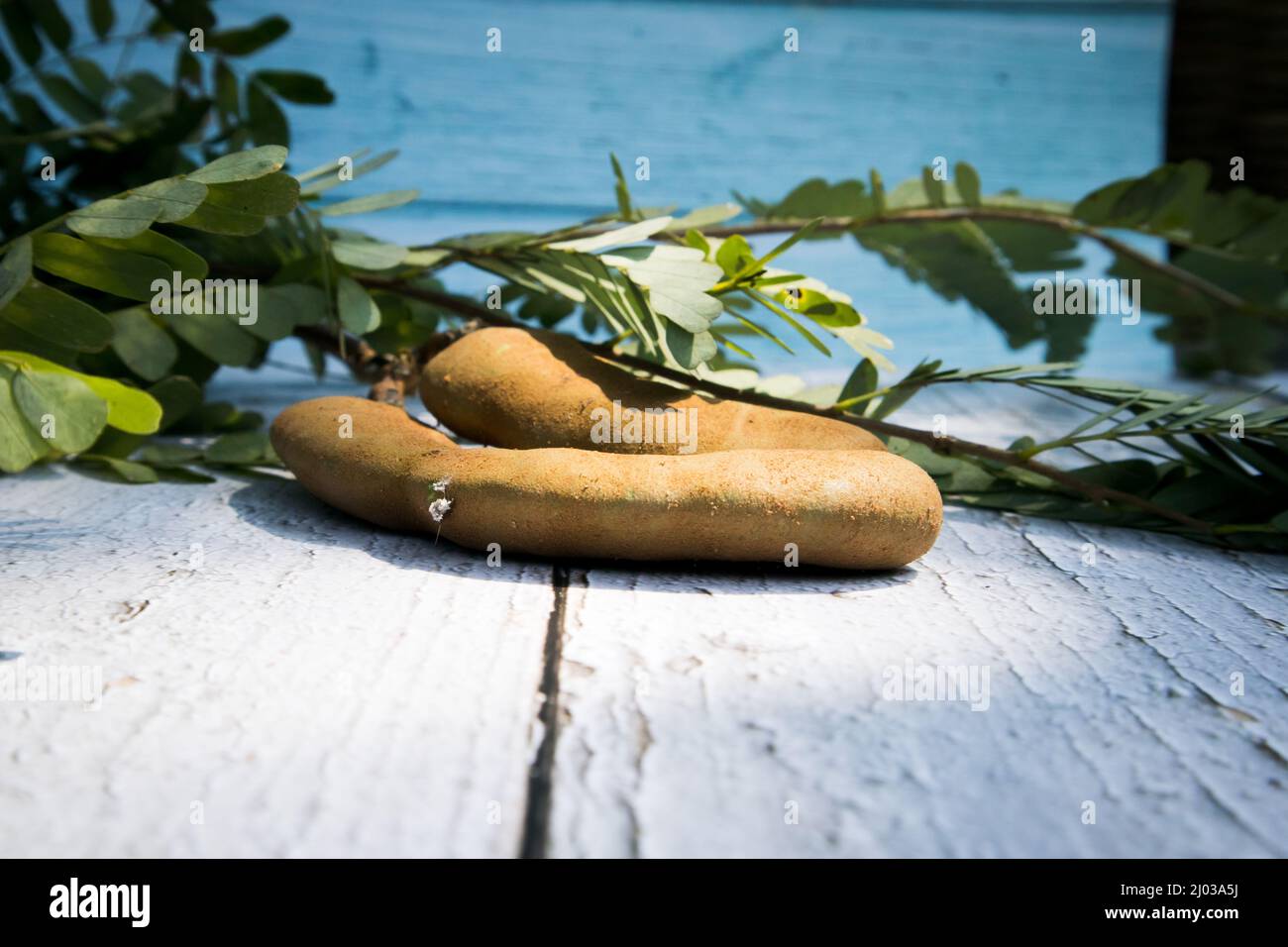 Some raw tamarind with tamarind leaf Stock Photo - Alamy