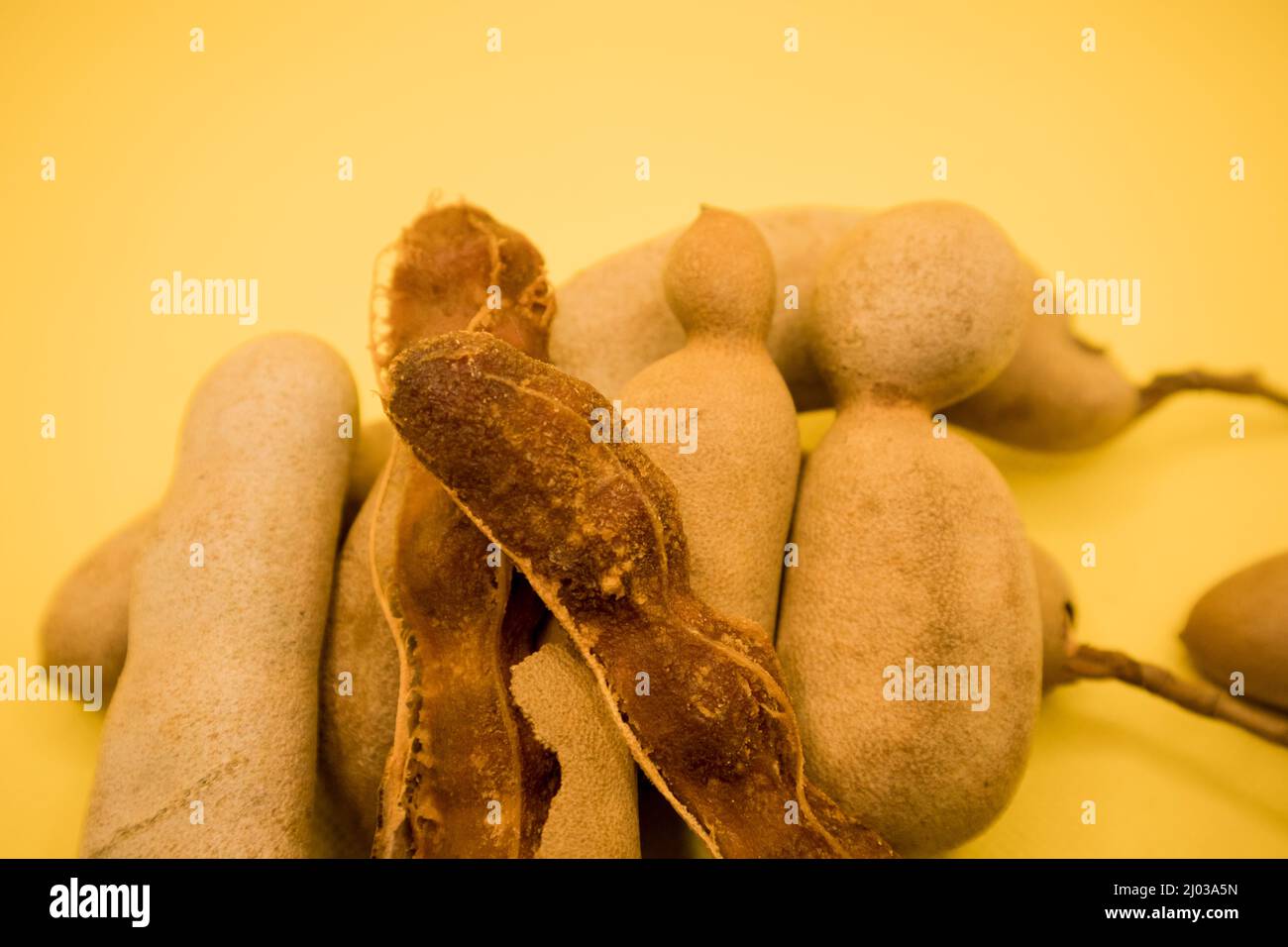 Tamarind in a yellow background Stock Photo - Alamy