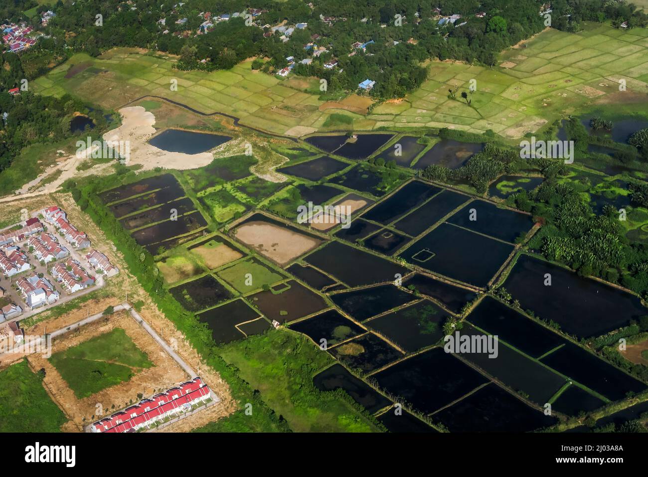 Fish ponds hi-res stock photography and images - Alamy