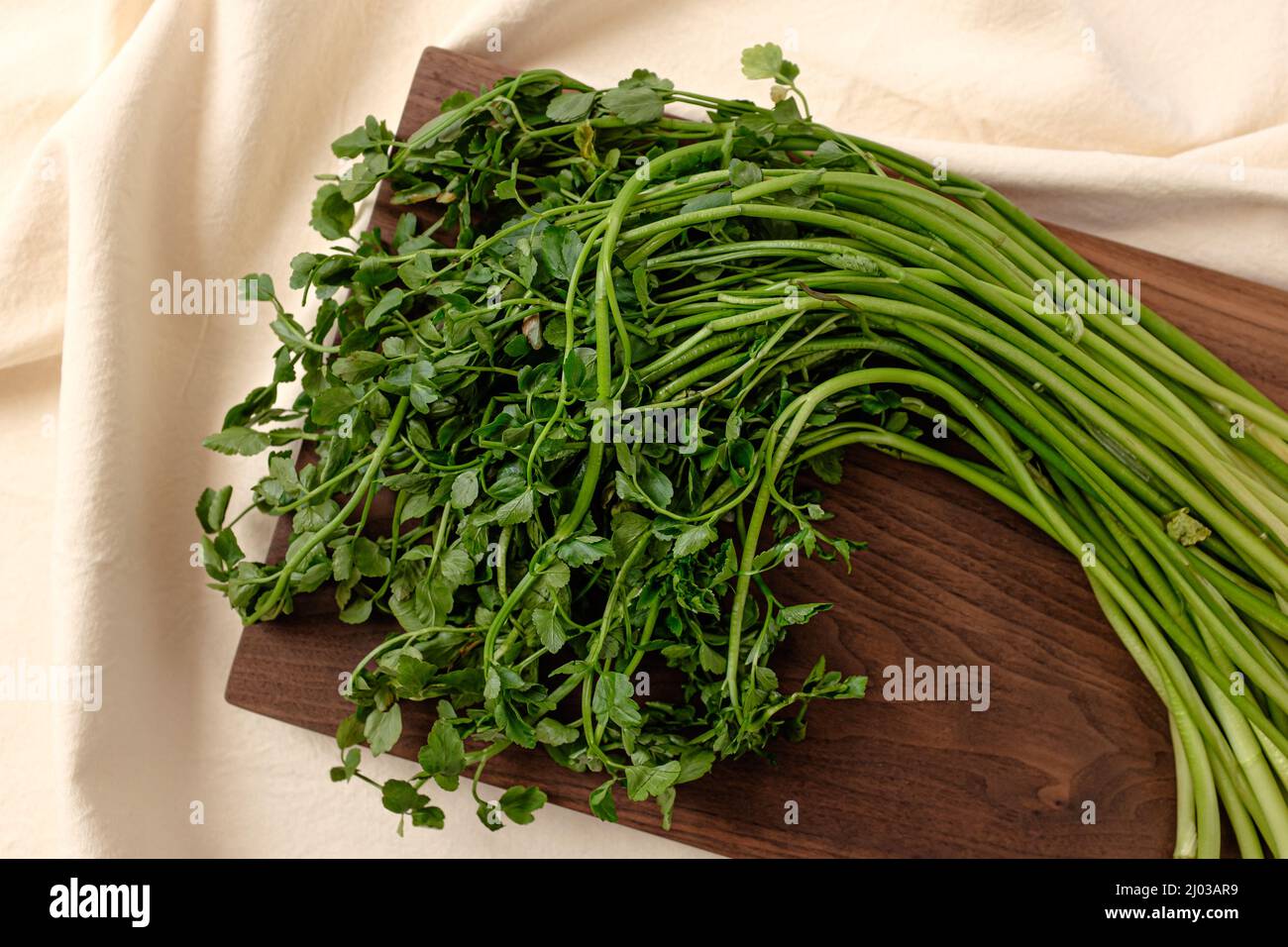 Herbal water parsley with strong fragrance and bitterness Stock Photo ...