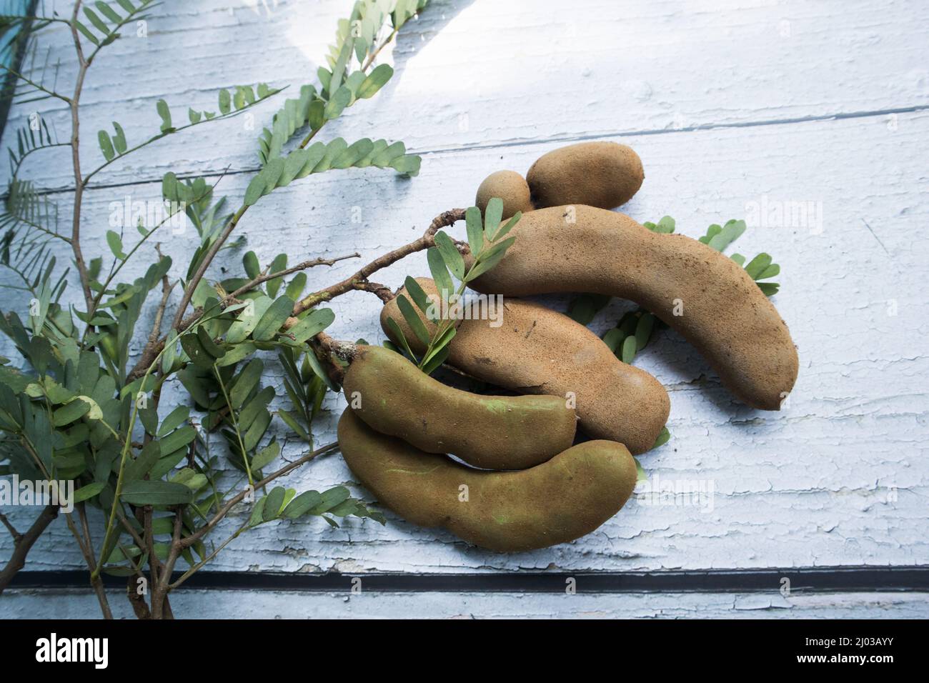 Some raw tamarind with tamarind leaf Stock Photo - Alamy