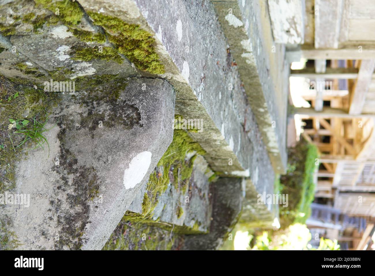 Close-up shot of mossed steps in Japan Stock Photo - Alamy