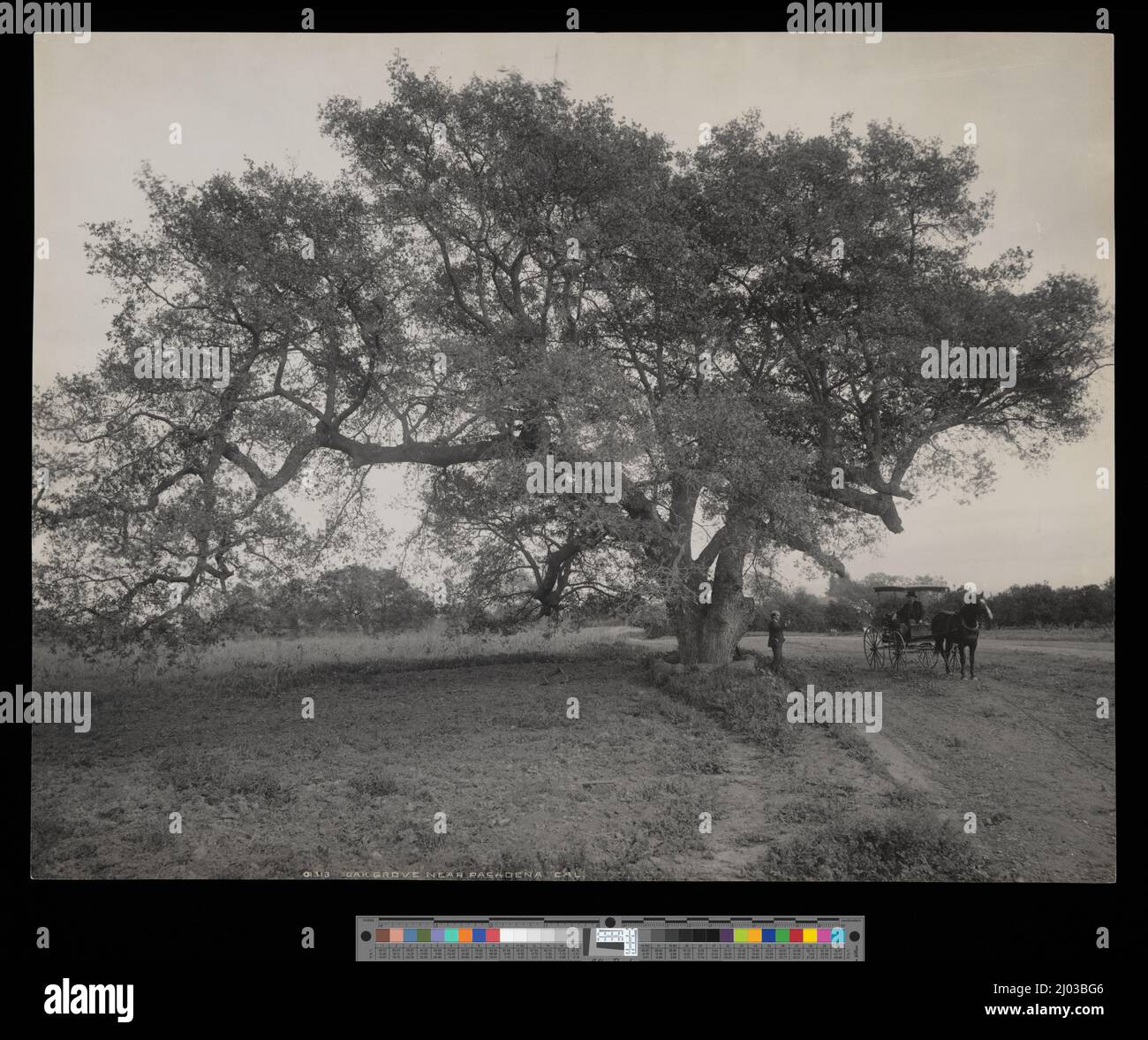 William henry grove hi-res stock photography and images - Alamy