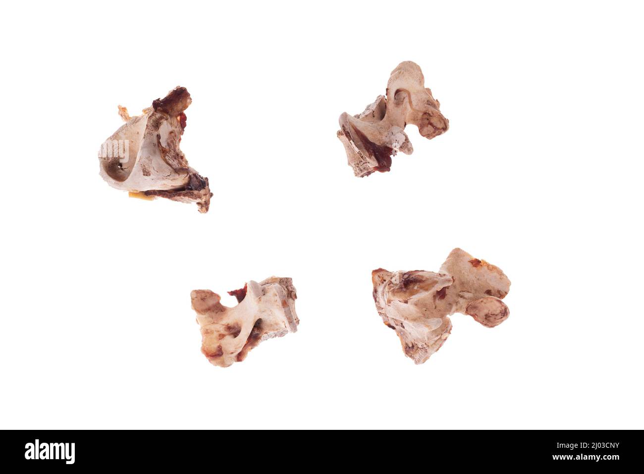 set of bones isolated on white background. High quality photo Stock ...