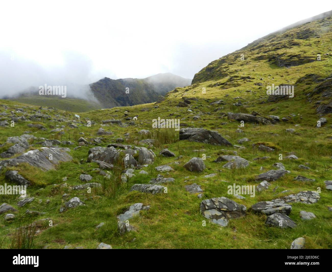 Irish environment hi-res stock photography and images - Alamy