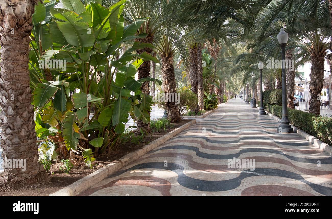 Iconic waterfront promenade in Alicante,Spain Stock Photo - Alamy