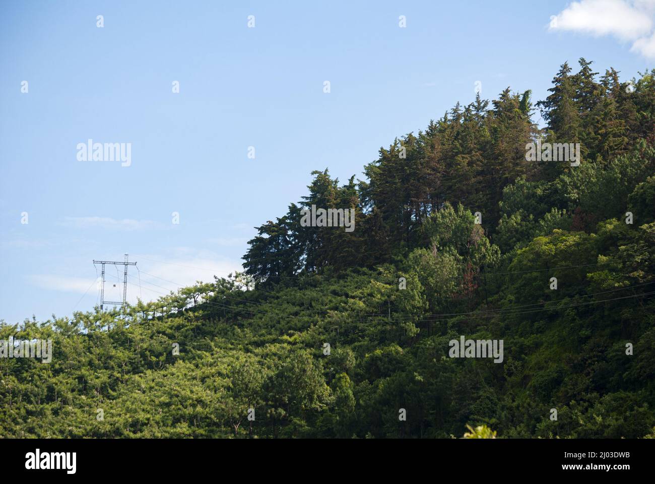 Mountain reforestation in rural area of Guatemala, area outdoor ...