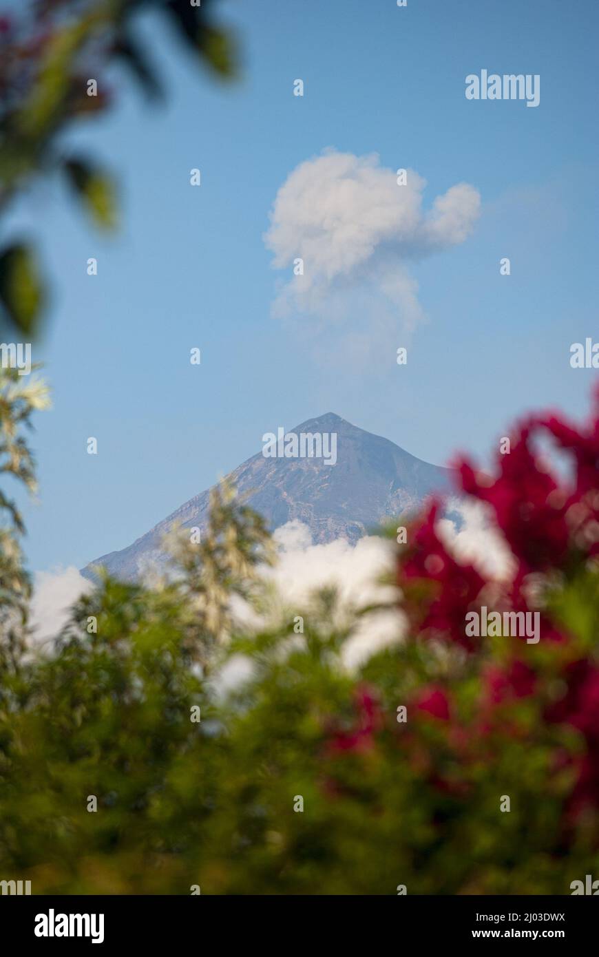 Panoramic view of crater volcan active in Guatemala called Fuego ...
