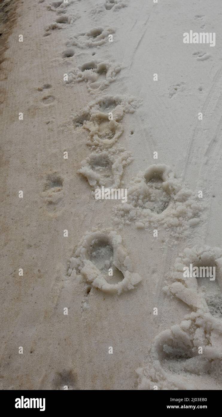 Dust from saharan desert hi-res stock photography and images - Alamy