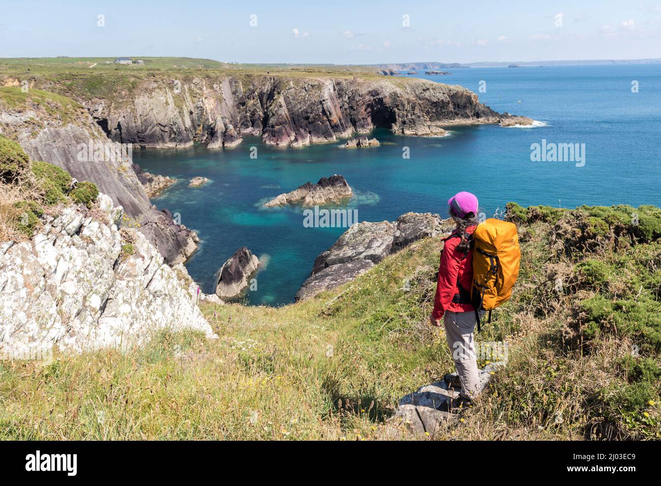 Pembrokeshire coast on the coast path near Porthclais, Wales, UK Stock ...