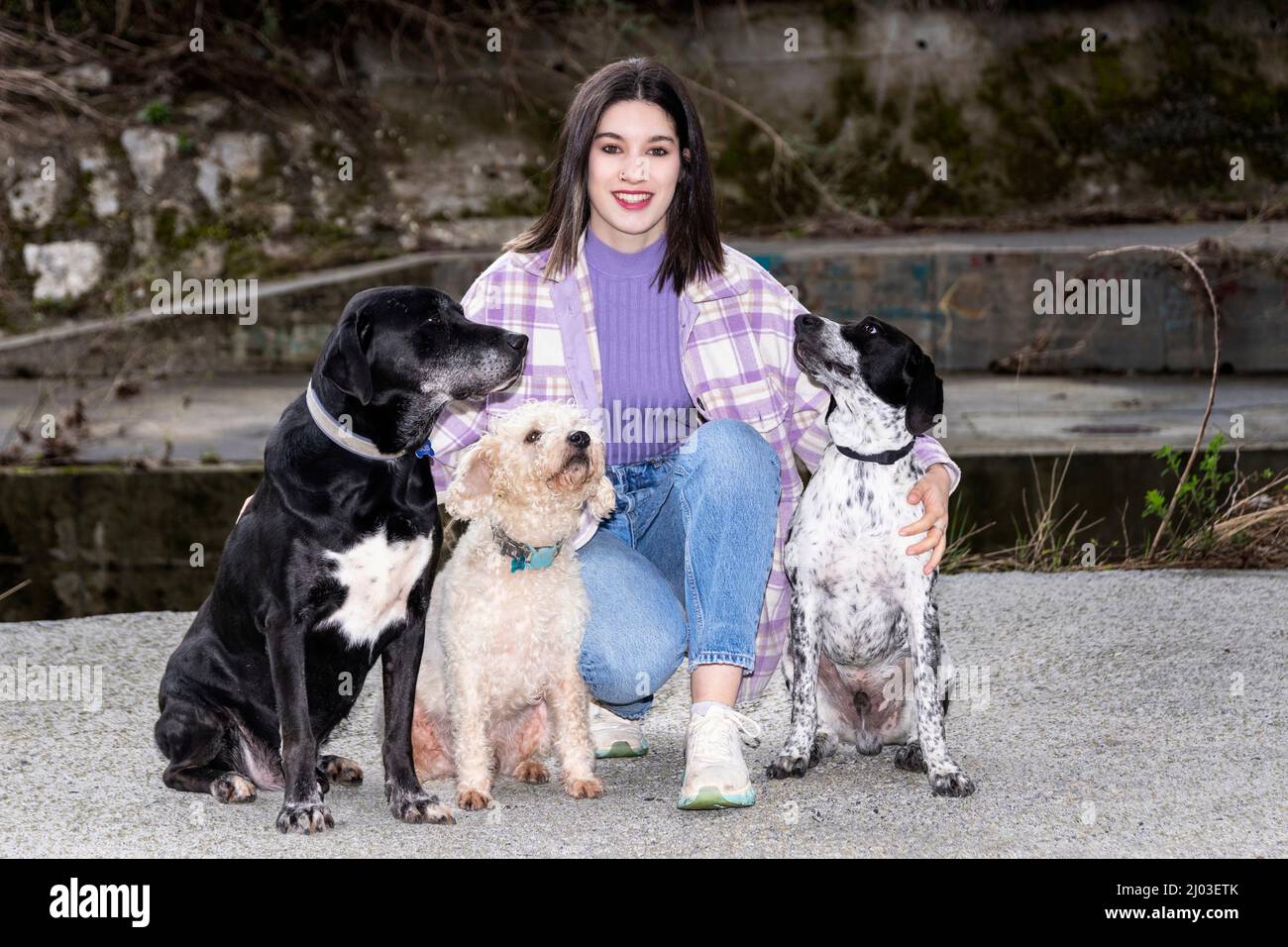 woman posing with three adopted dogs. dog adoption Stock Photo - Alamy