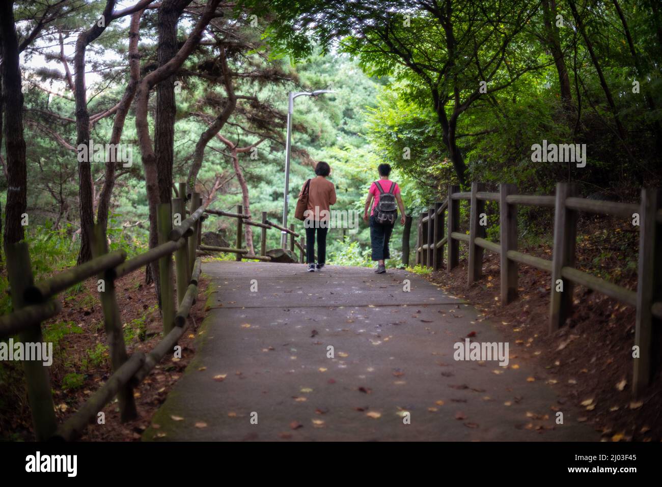 Back view of two people walking on a trail in a park Stock Photo - Alamy