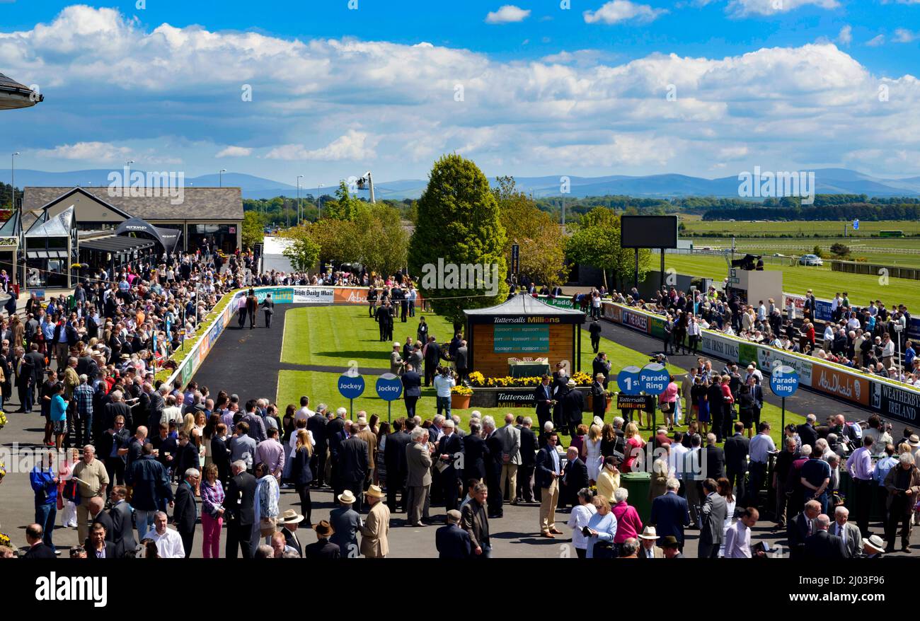 Race day at the Curragh, County Kildare, Ireland Stock Photo - Alamy