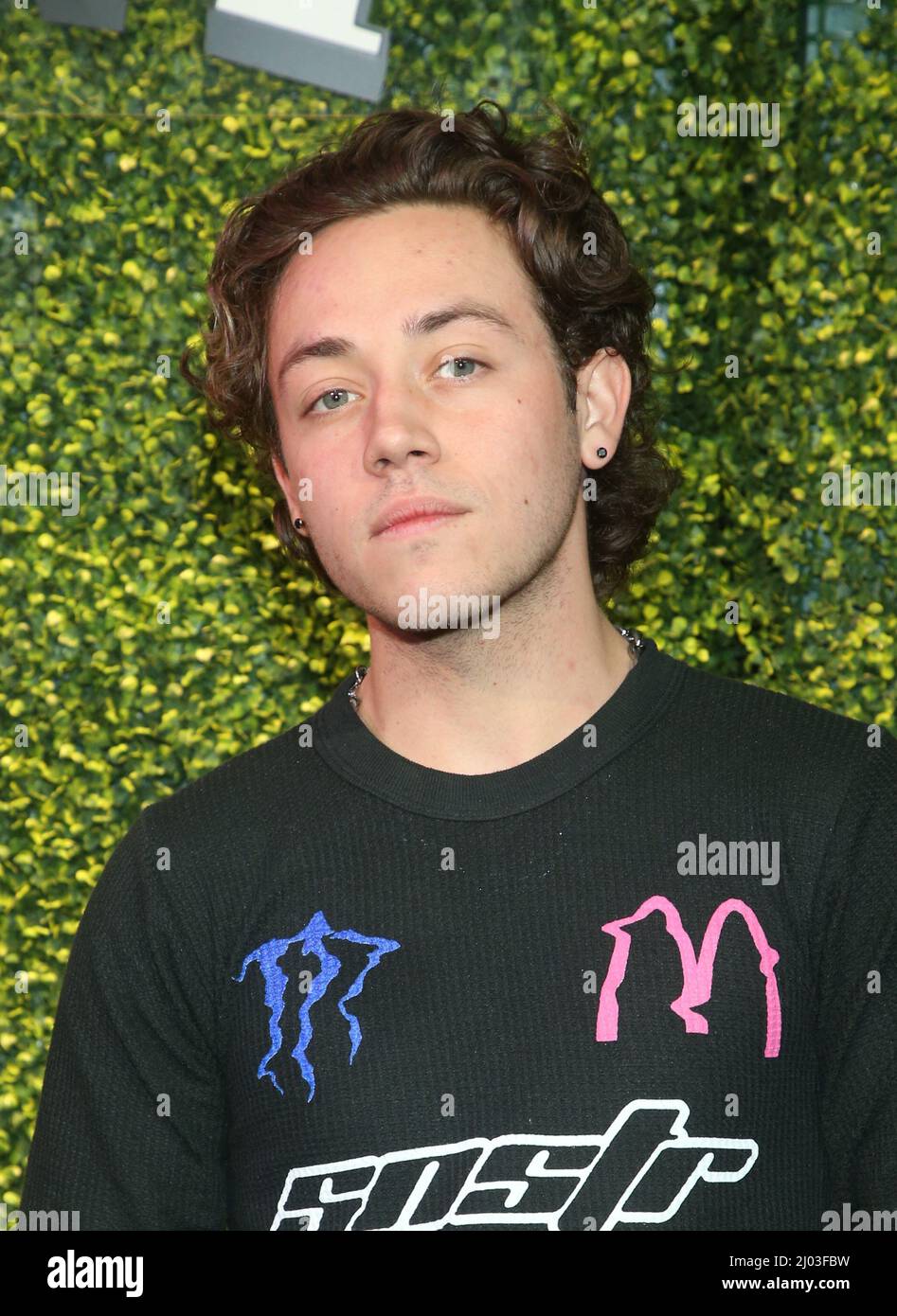 Los Angeles, Ca. 15th Mar, 2022. Ethan Cutkosky, at The Sunny Vodka ...