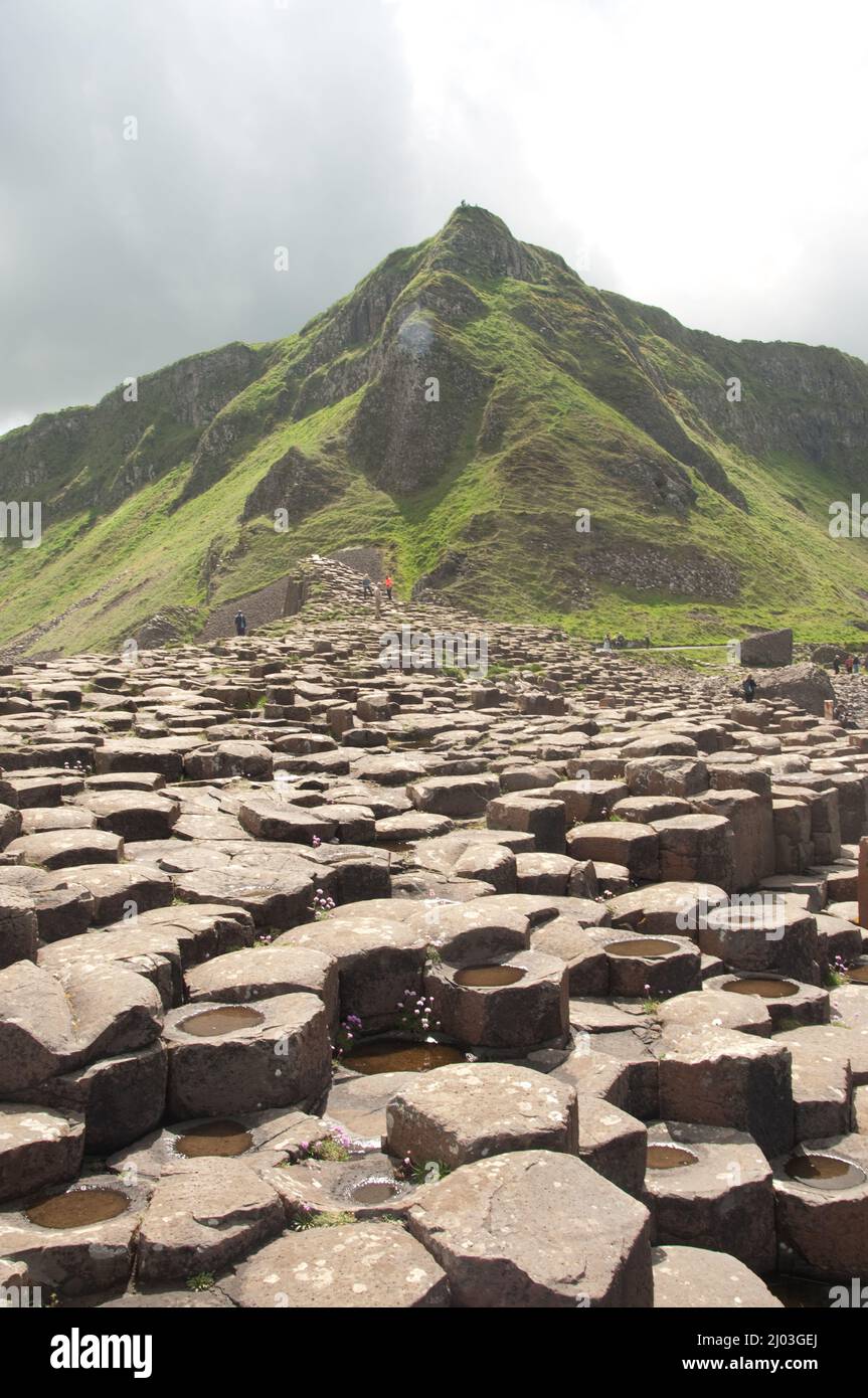 Basalt columns, Giant's Causeway, Co Antrim, Northern Ireland, UK. The ...