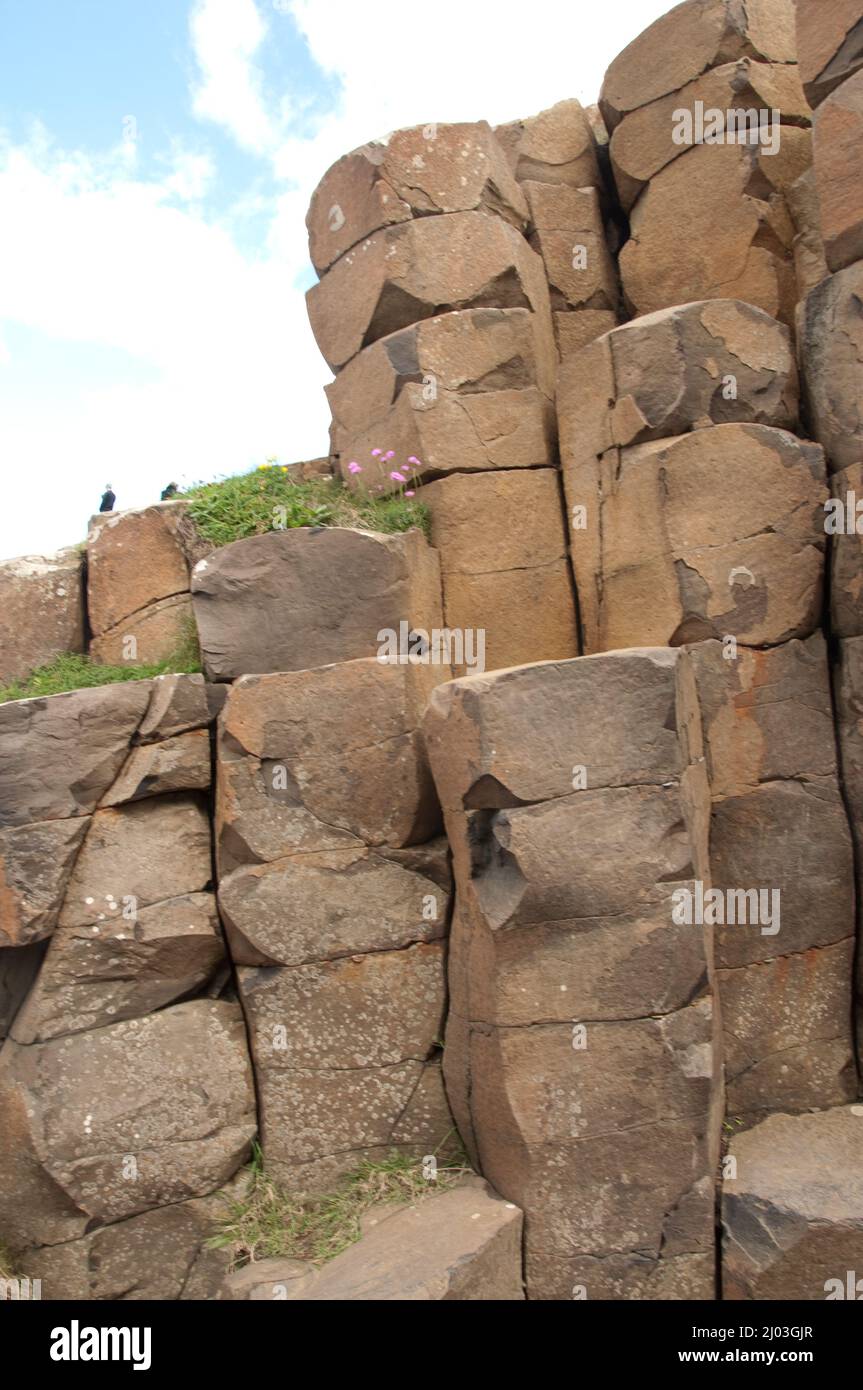 Basalt columns, Giant's Causeway, Co Antrim, Northern Ireland, UK. The ...