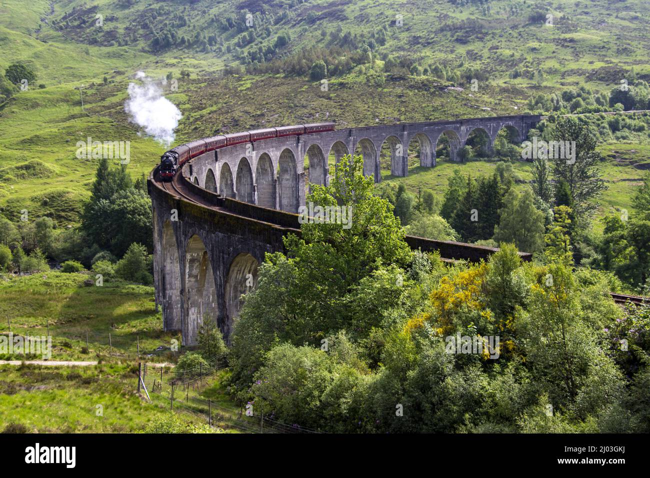 Steaming train on the Glenfinnan train viaduct in Scotland, UK Stock ...