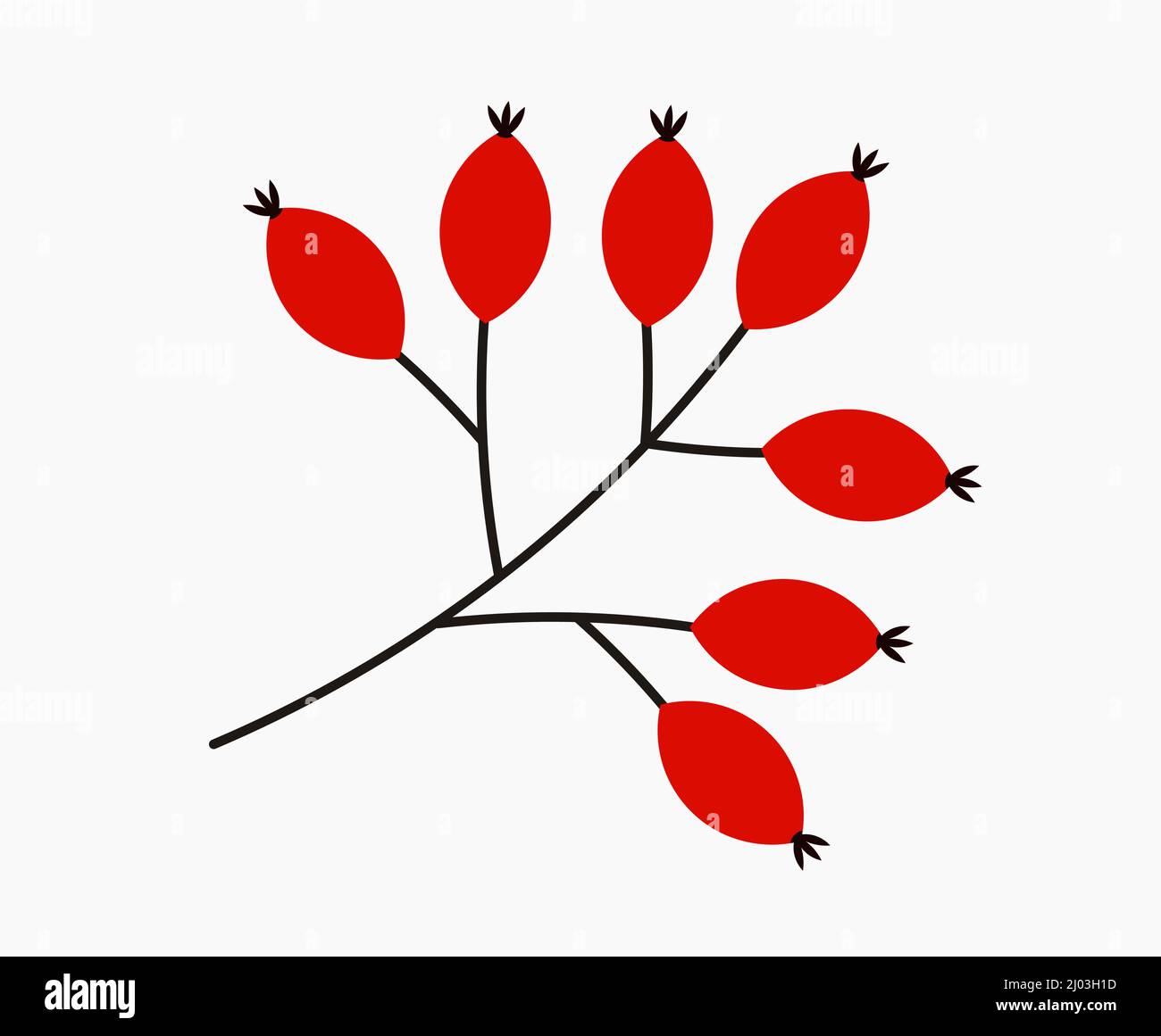 Rose hip red fruit branch. Vector illustration Stock Vector Image & Art ...