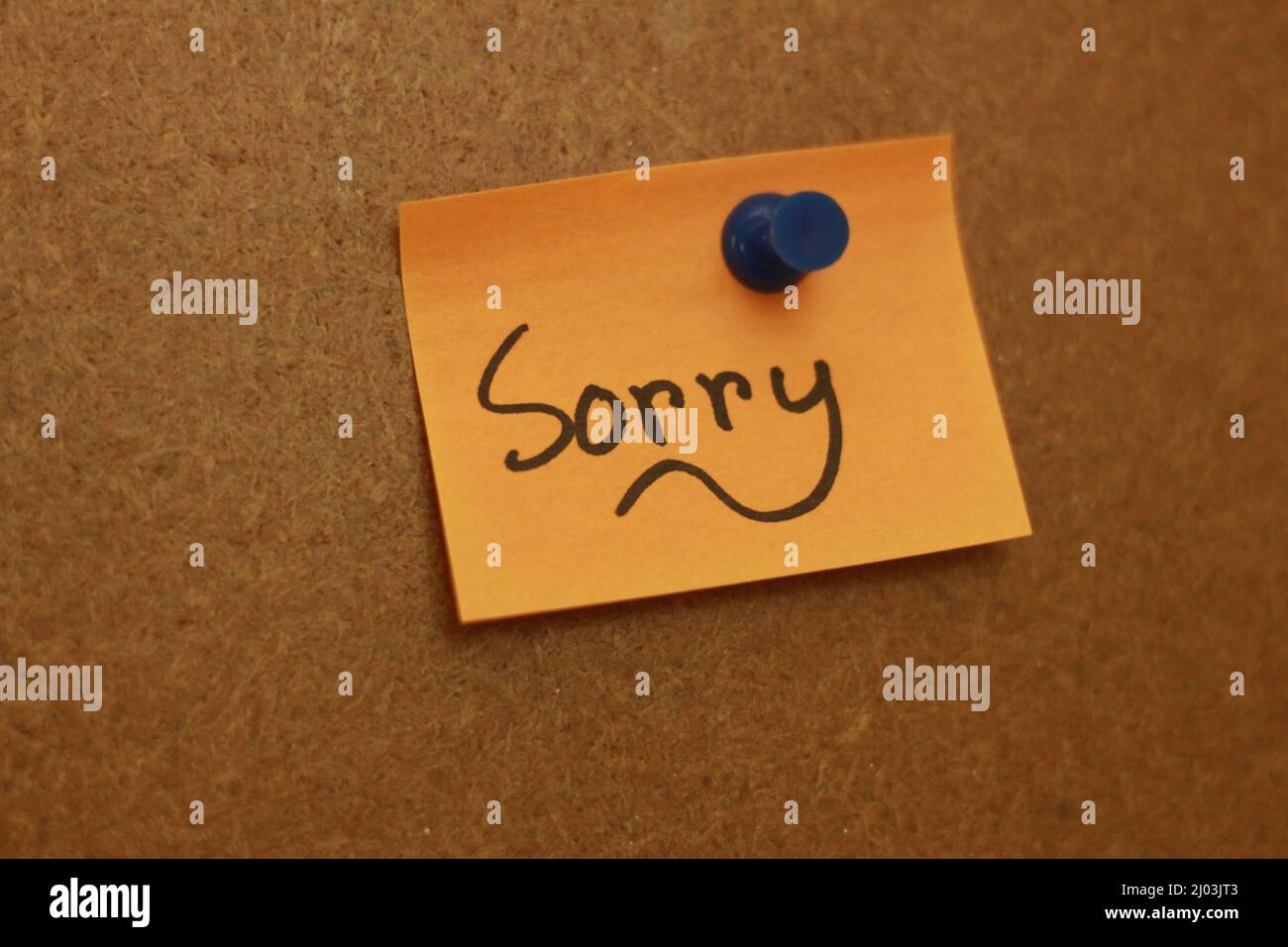 Sorry text written on sticky note concept designed with woman hand ...